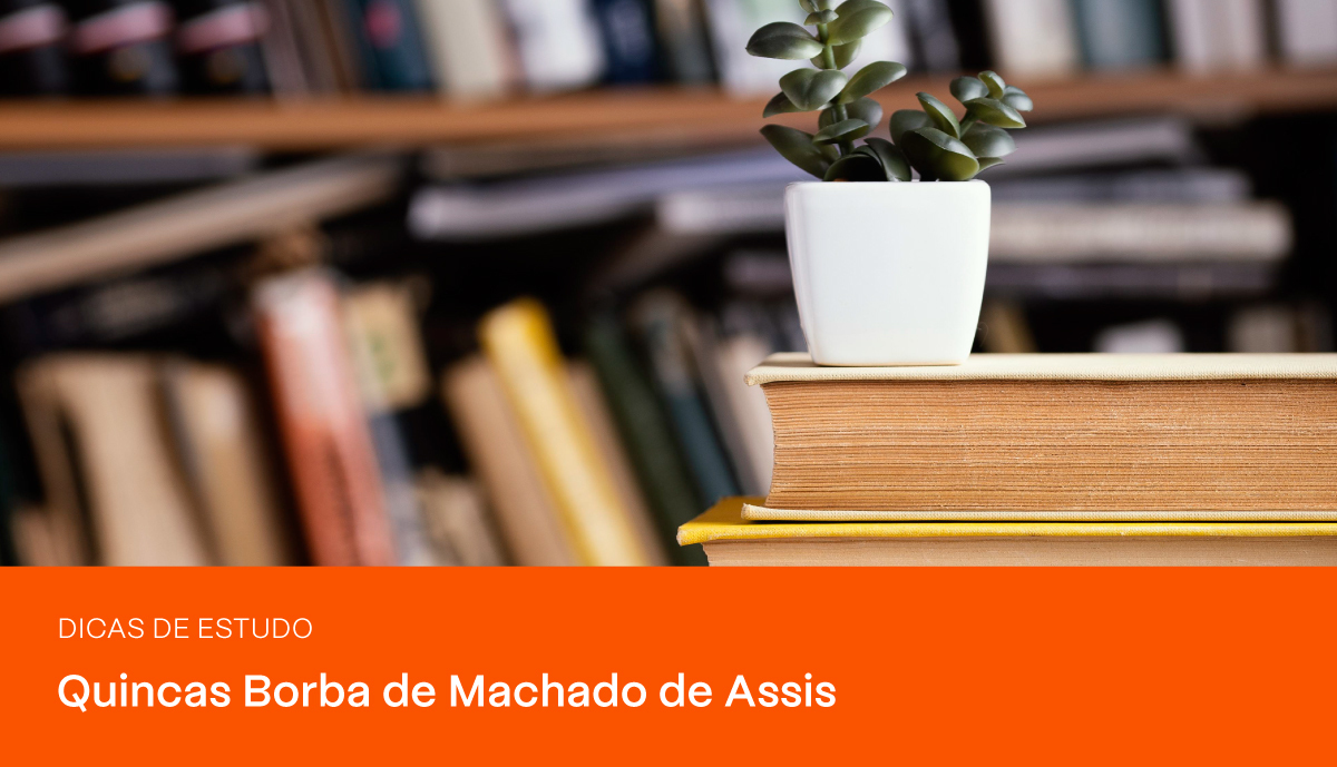 Quincas Borba: resumo e tema principal do livro | PRAVALER